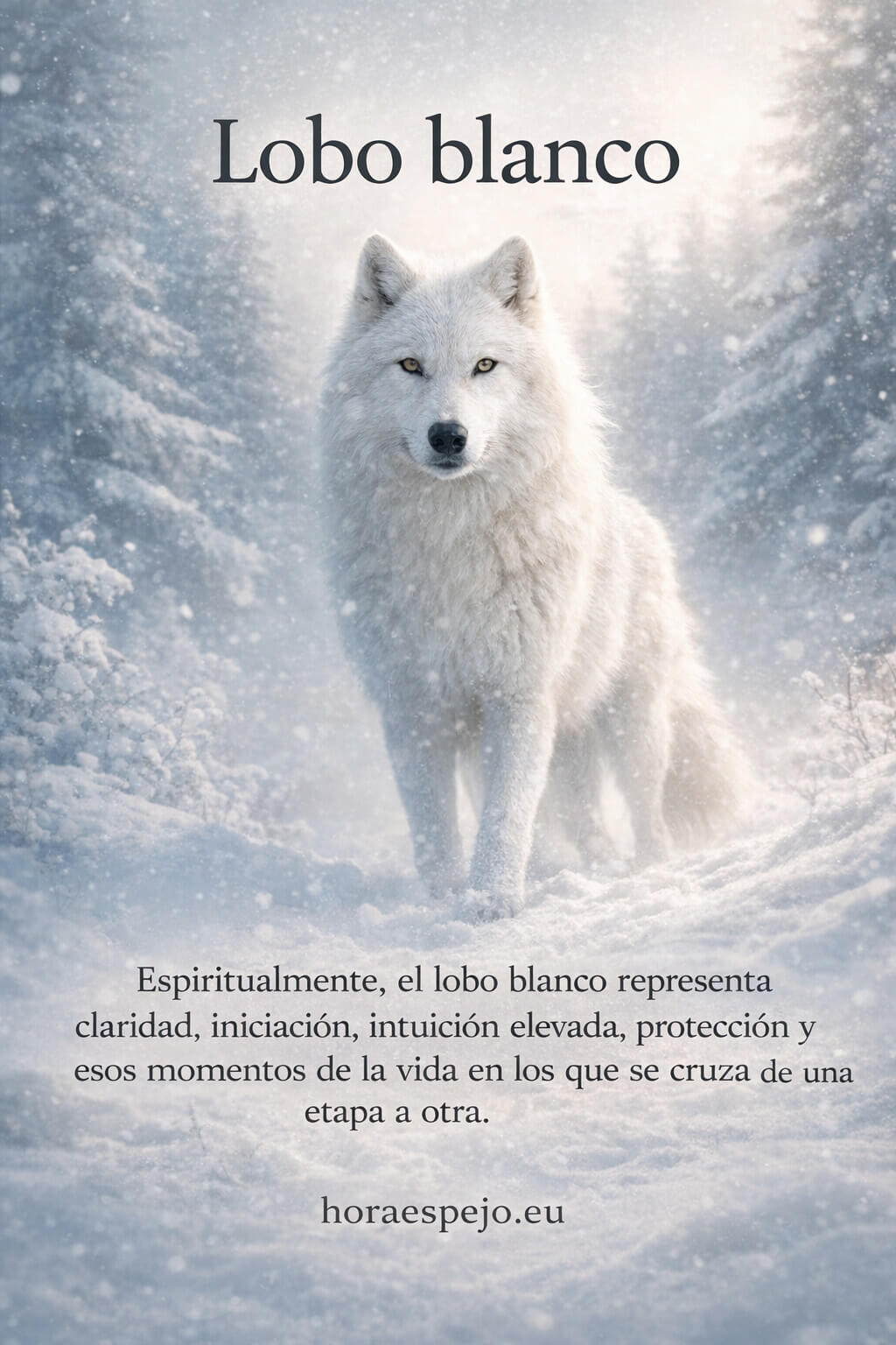 El significado espiritual del lobo blanco: guía, instinto y claridad ...